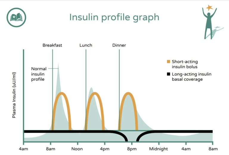 Is my background insulin correct? | Preventing Diabetes eLearning
