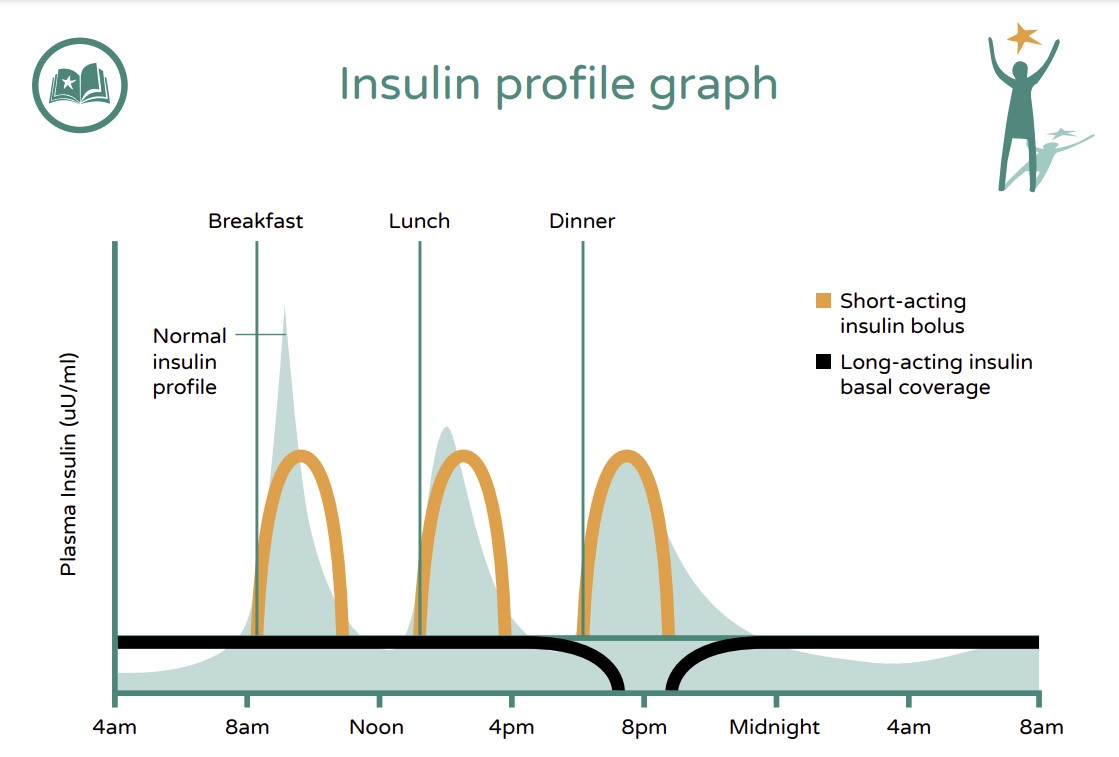 Is my background insulin correct? | Preventing Diabetes eLearning