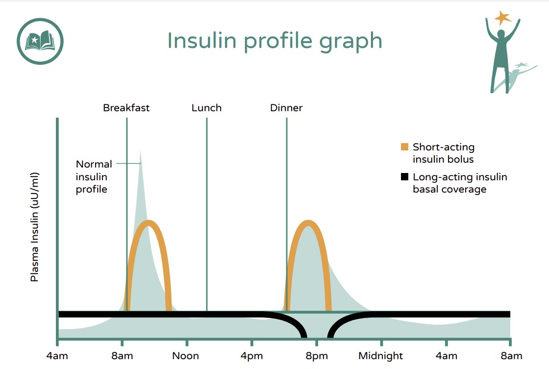 Is my background insulin correct? | Preventing Diabetes eLearning